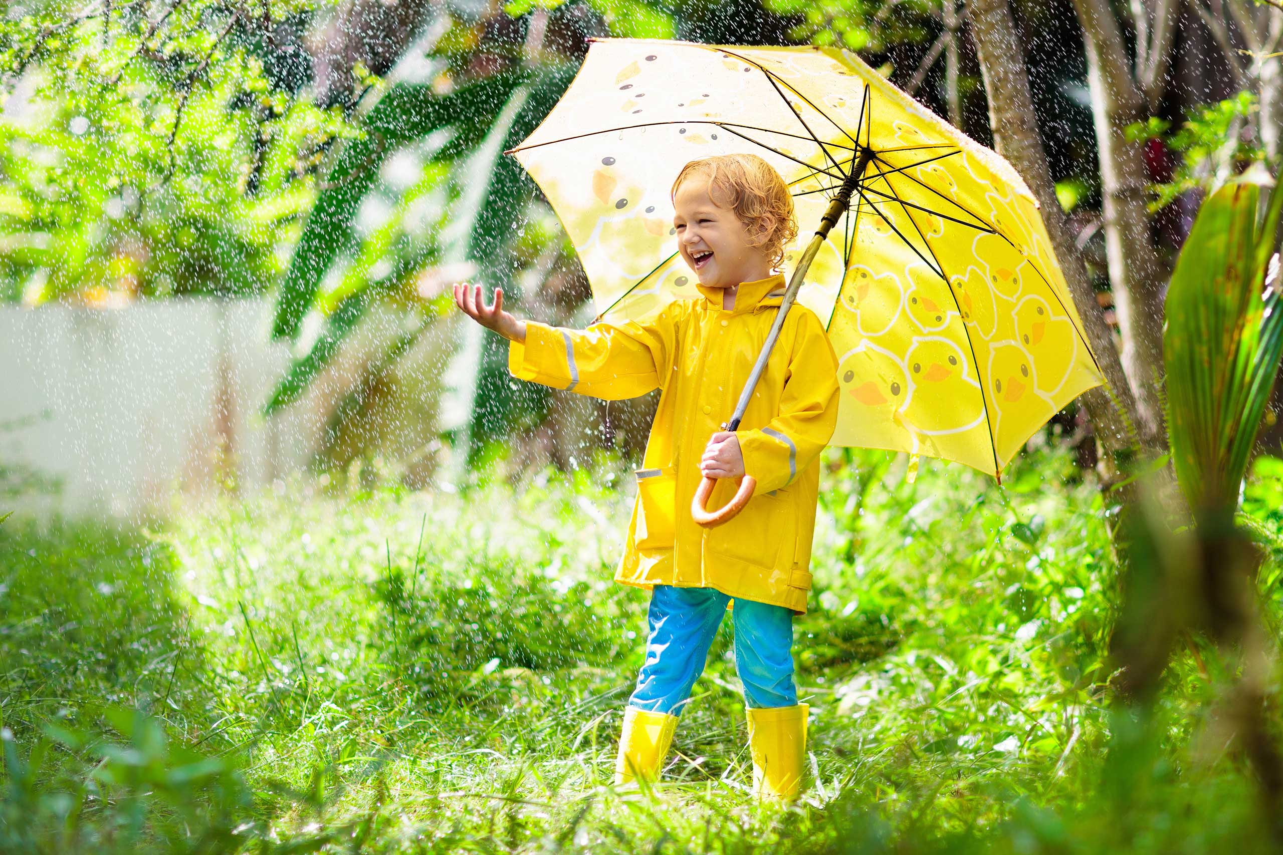 Rainy Day Ready – How to Boost Your Financial Resilience – Threshold ...